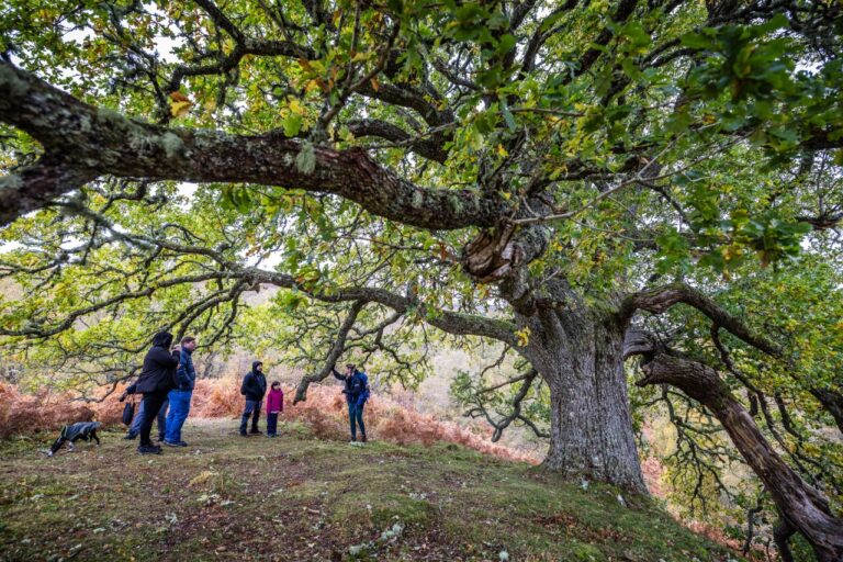 Experiences - Dundreggan Rewilding Centre