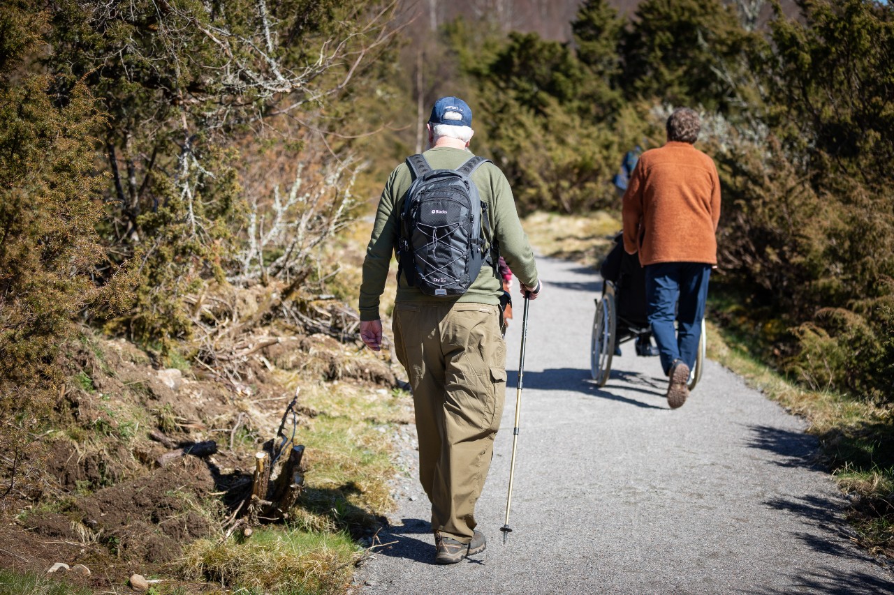 Visit - Dundreggan Rewilding Centre