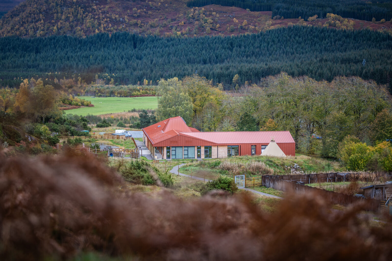 Visit - Dundreggan Rewilding Centre