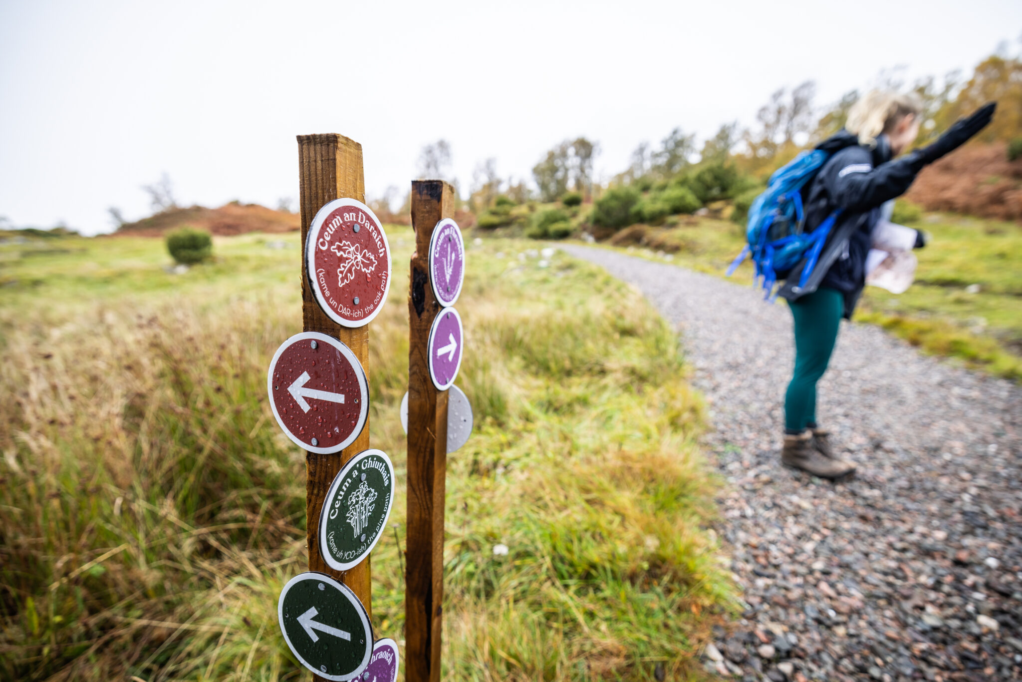 Visit - Dundreggan Rewilding Centre