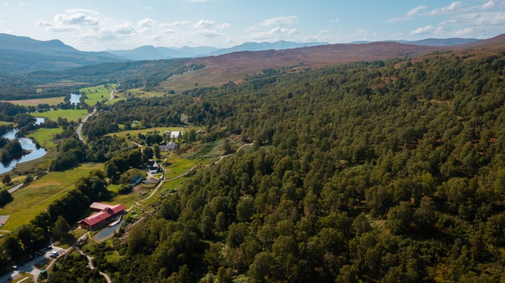 Experiences - Dundreggan Rewilding Centre