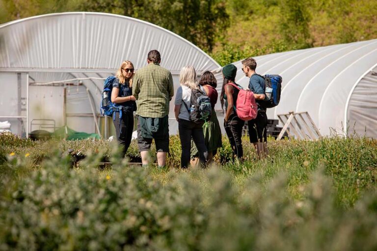Activities - Dundreggan Rewilding Centre