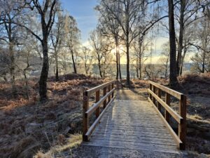 Explore Dundreggan - Dundreggan Rewilding Centre