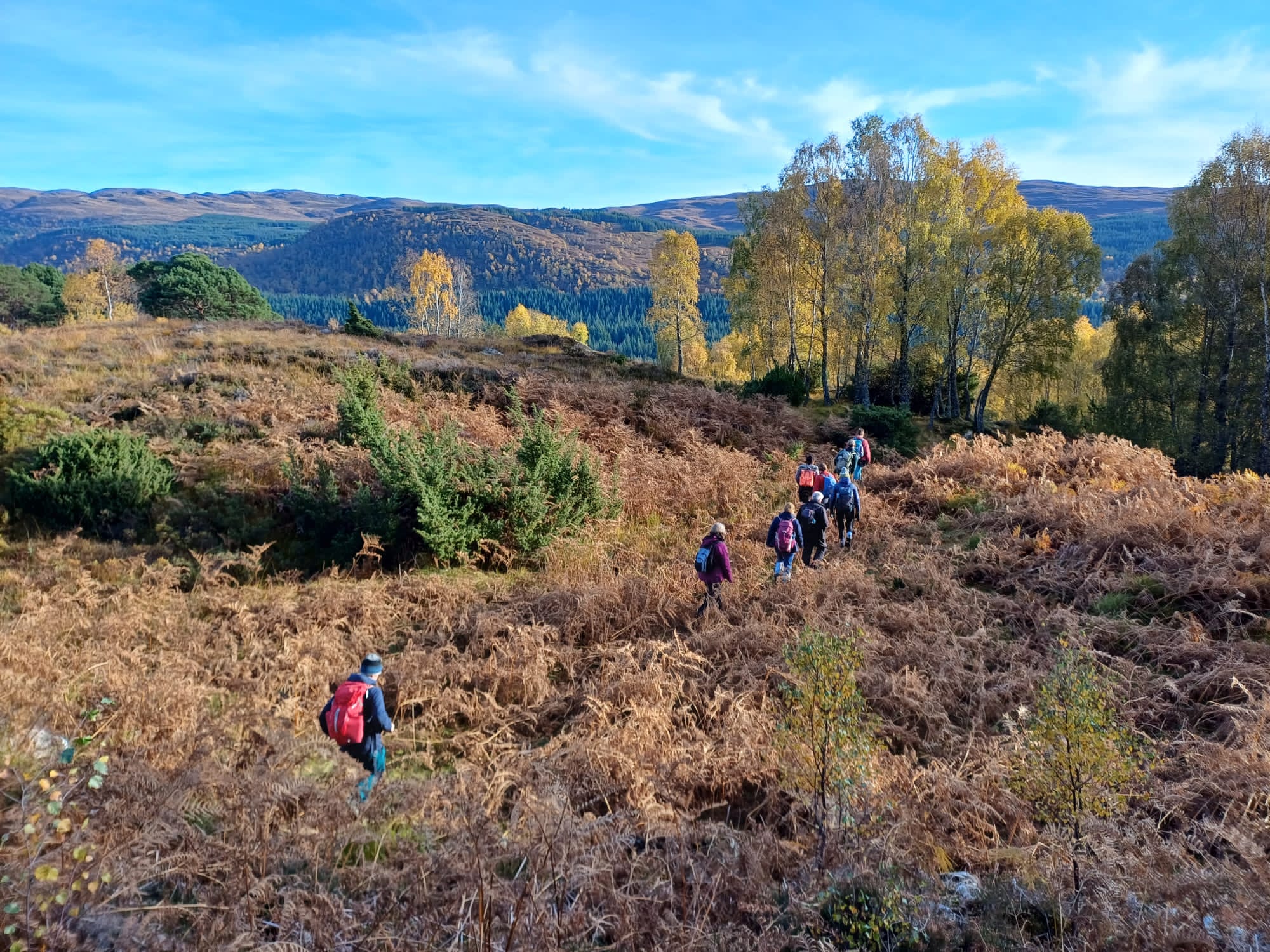 Rewilding in Action Experience - Dundreggan Rewilding Centre