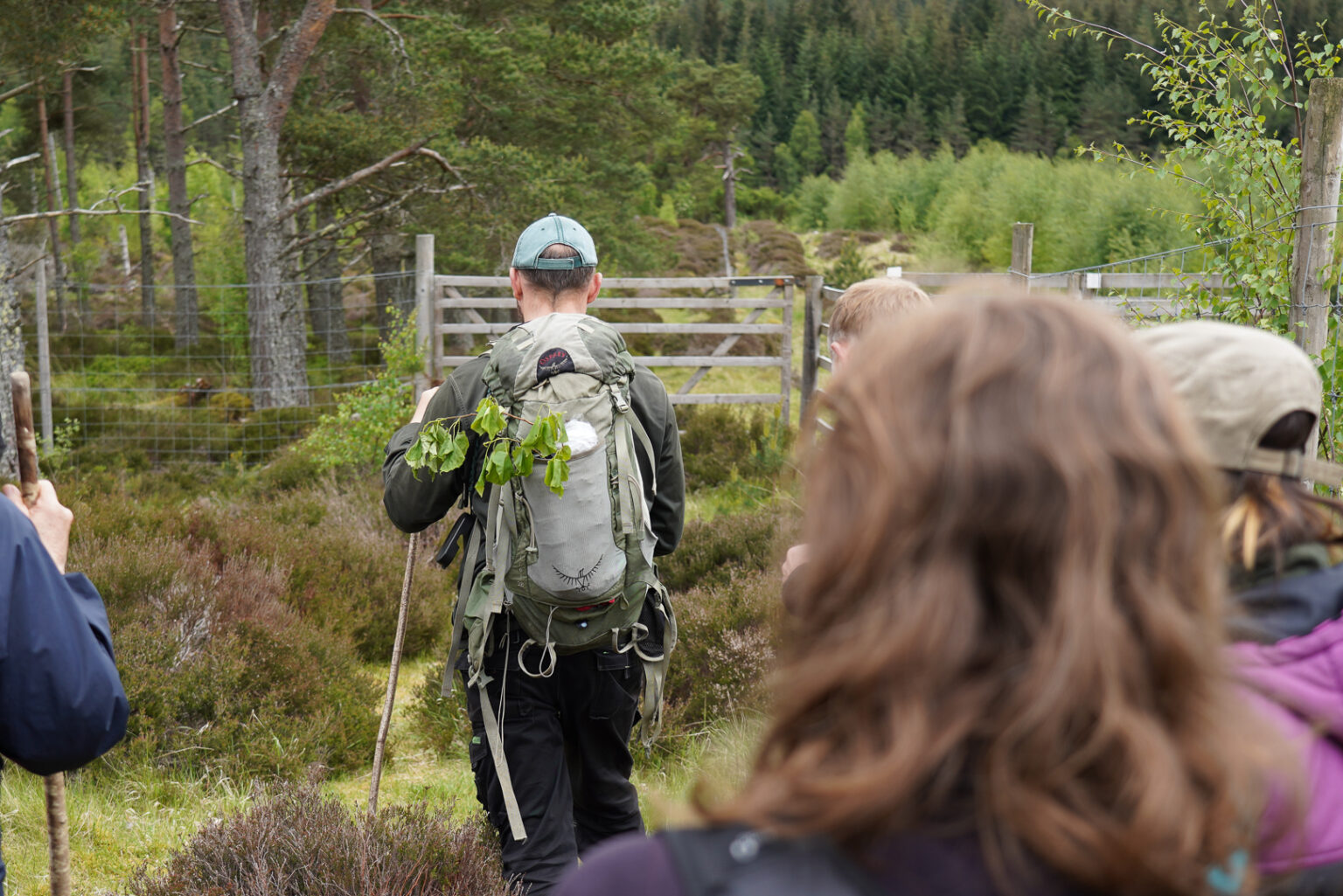 Bespoke and unique activities - Dundreggan Rewilding Centre