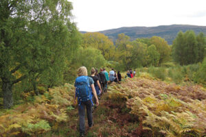 Activities - Dundreggan Rewilding Centre