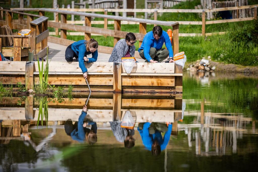 Bespoke and unique activities - Dundreggan Rewilding Centre